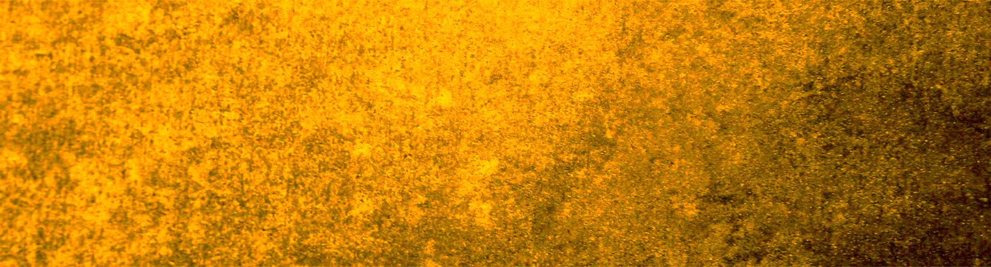 4 Steps to Effective Risk Management Everyone Should Know - KMRD Partners